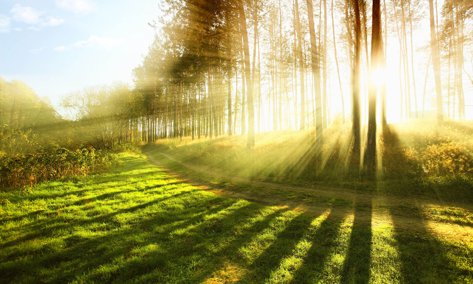The Holy One of Israel - The Sermon - West Park Baptist Church