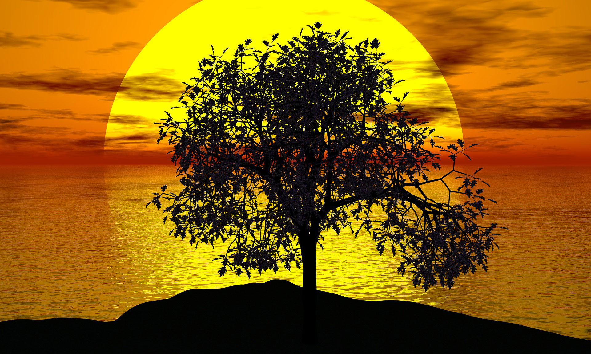 The Backup You Cannot See - West Park Baptist Church