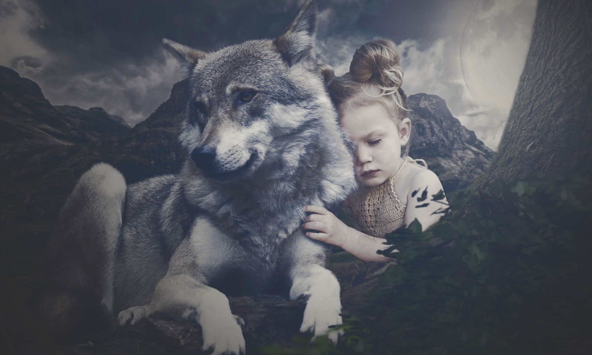 The Wolf And The Lamb The Sermon West Park Baptist Church The Wolf And The Lamb The Sermon West Park Baptist Church
