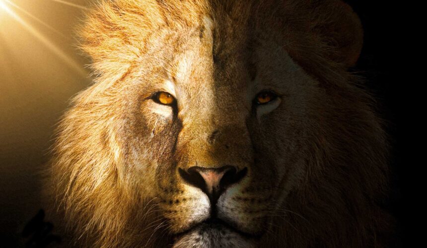 Son of David - West Park Baptist Church